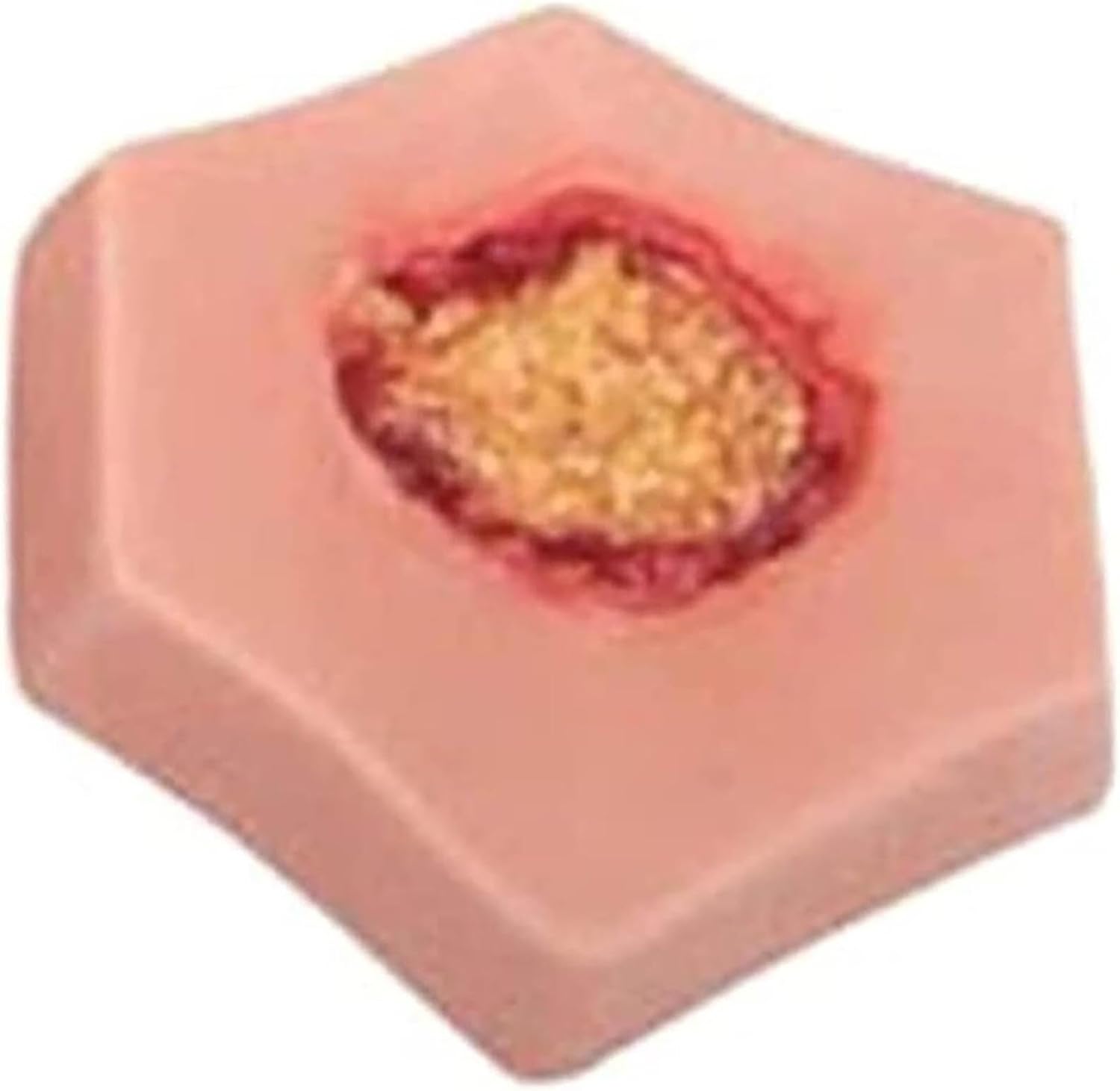 Decubitus Ulcer Training Model Decubitus Wound Care Mexico | Ubuy