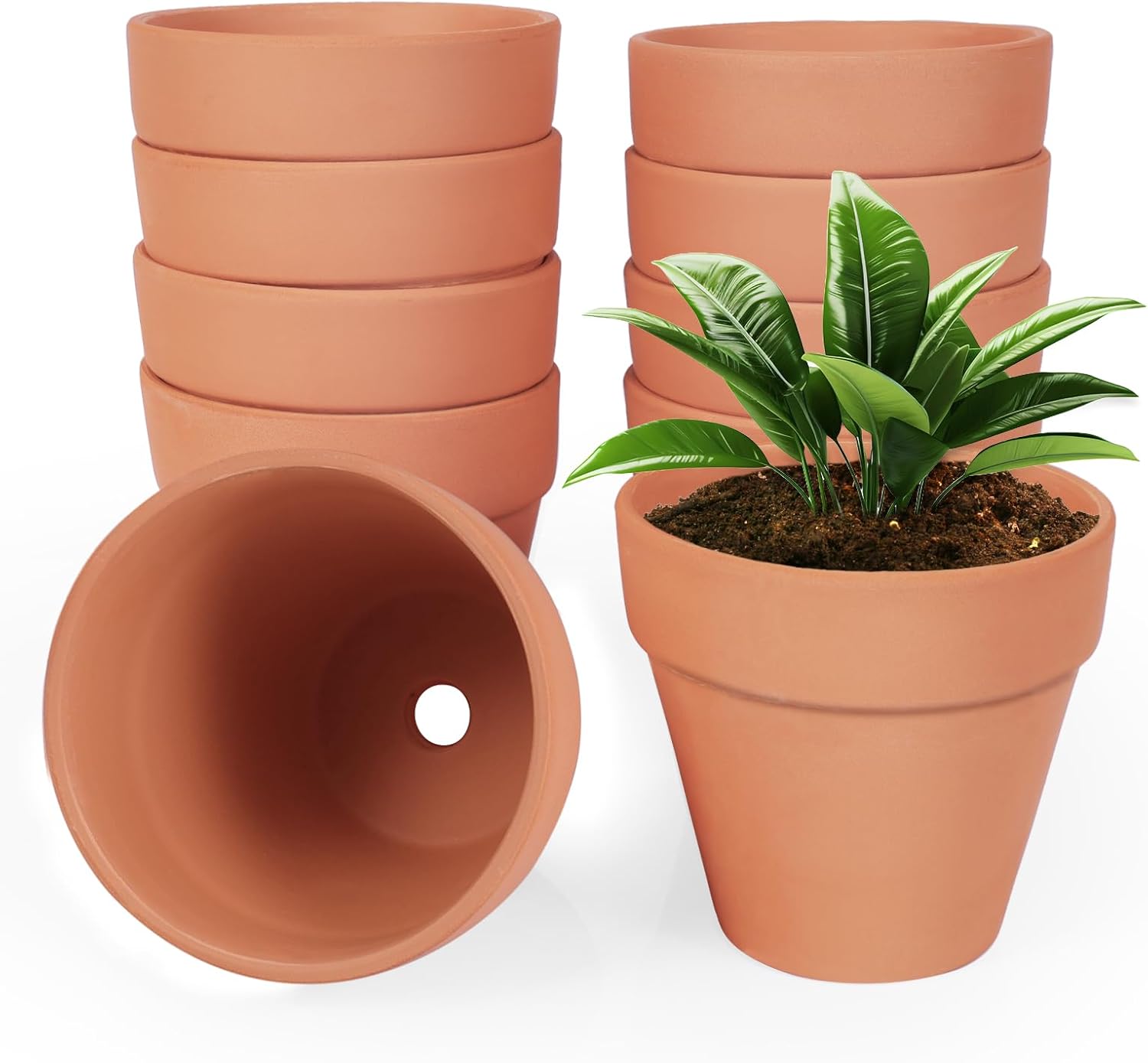 Amazon.com: YESIACE 24 Pack 4 Inches Terracotta Plant Pots, Terra Cotta ...
