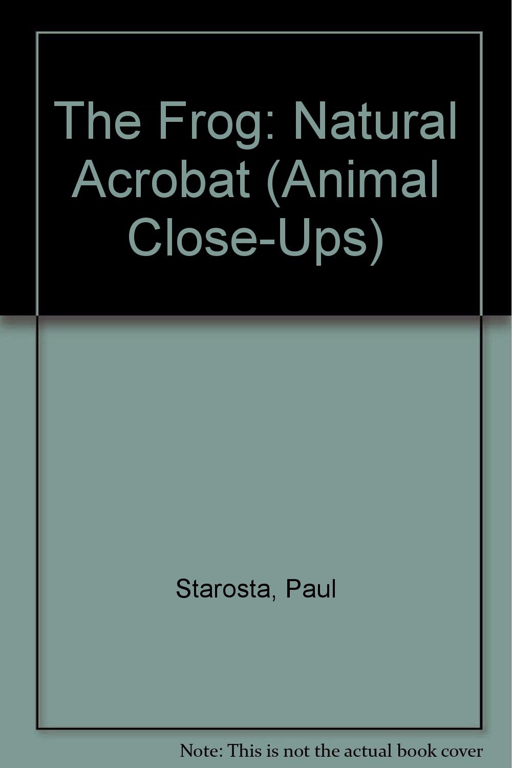 The Frog: Natural Acrobat (Animal Close-Ups): Starosta, Paul ...