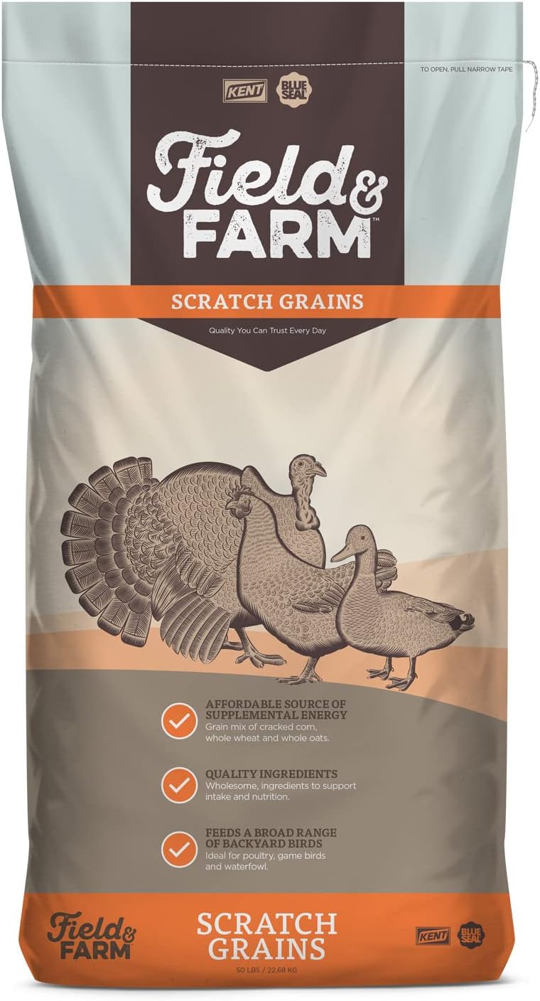 Amazon.com : KENT Field and Farm Scratch Grains - Complete Feed for ...