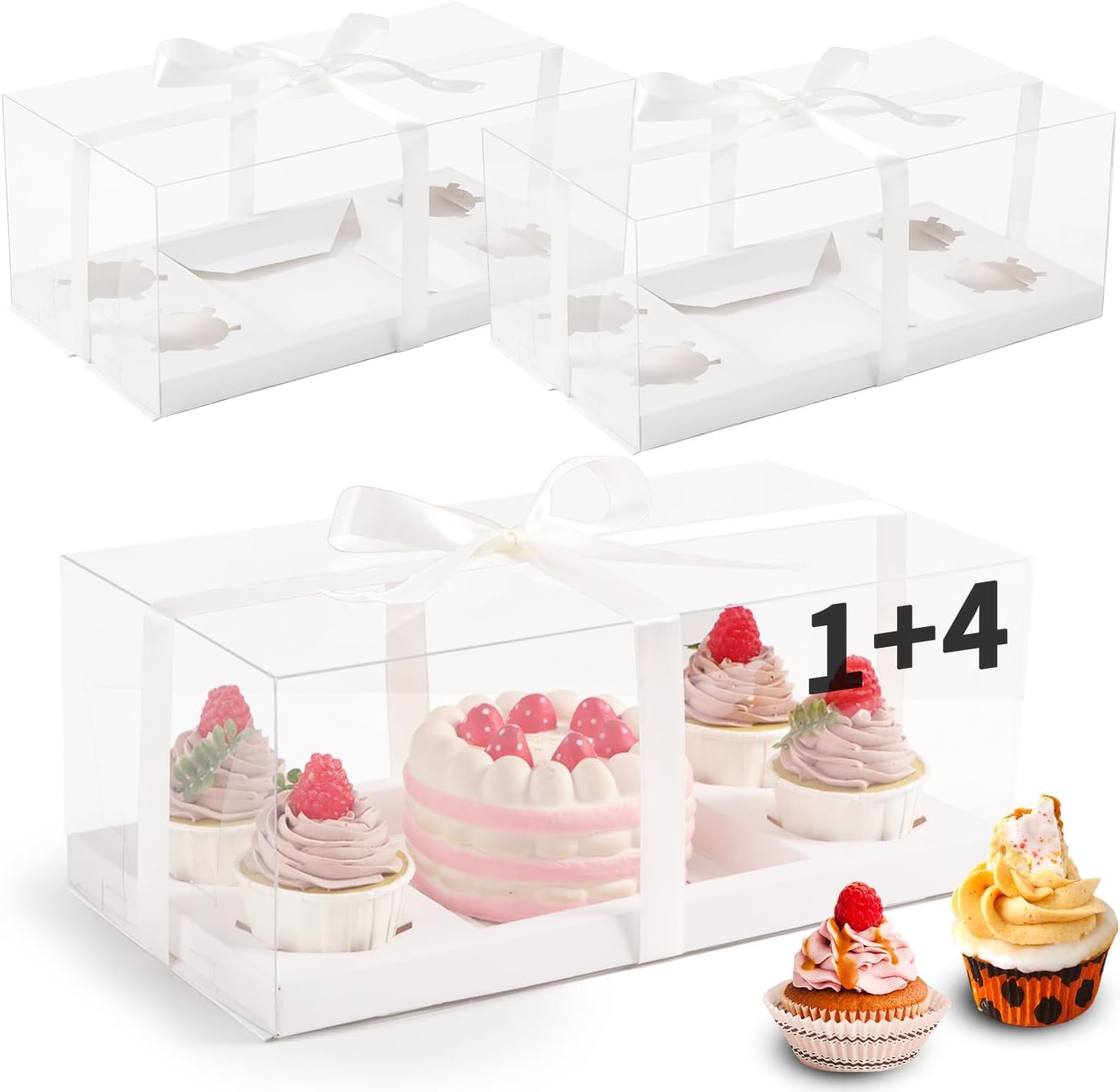 Amazon.com: PFAMKEER Bento Cake Box With Cupcakes, Clear Window 3 Holes ...