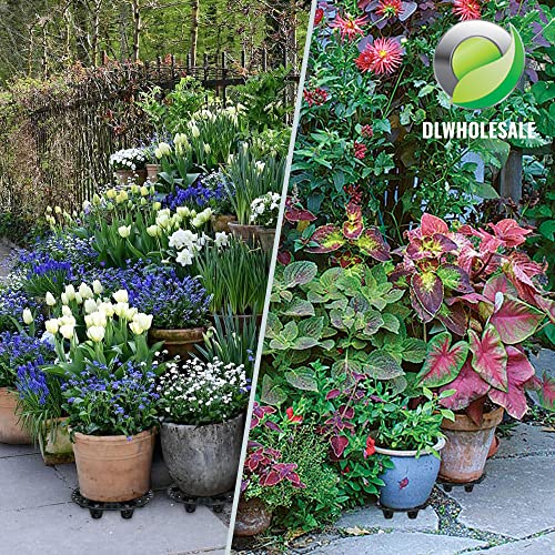 Snapklik.com : Grow1 13-Inch Pot Elevators For Plants Plastic Fabric ...