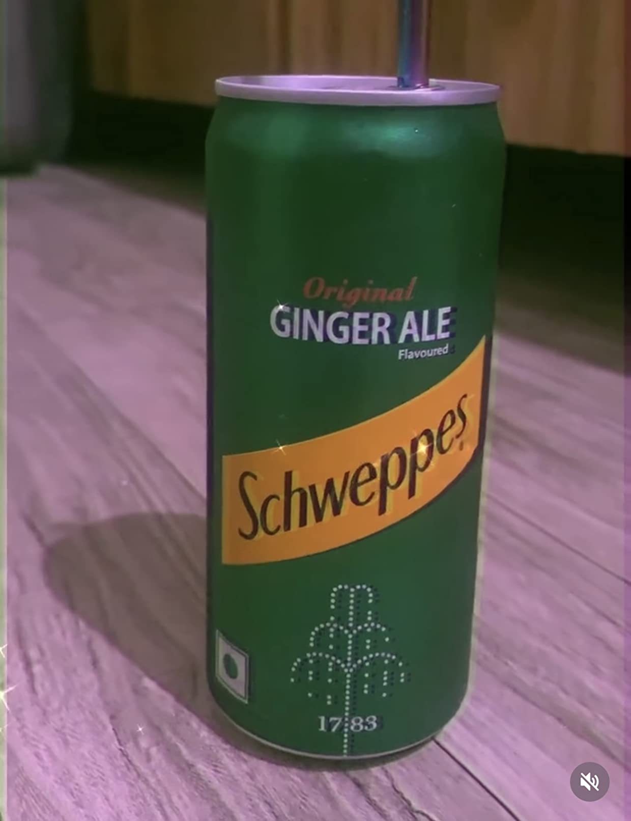 Schweppes Ginger Ale 300Ml Cans - 5+1 ( Pack of 6 ) : Amazon.in: Books