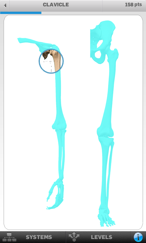 SKELETAL ANATOMY GAME - App on Amazon Appstore