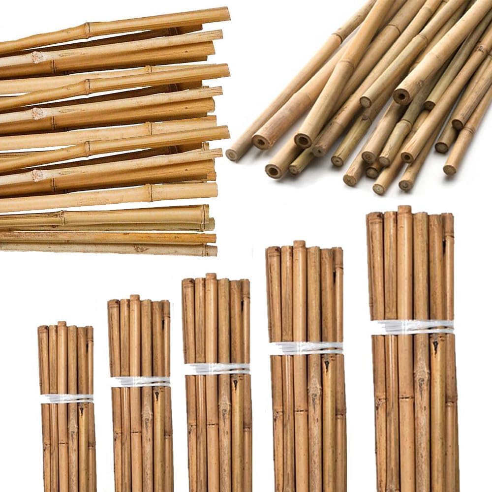 AHS Strong Heavy Duty Bamboo Canes - Natural 4FT Gardening Cane ...