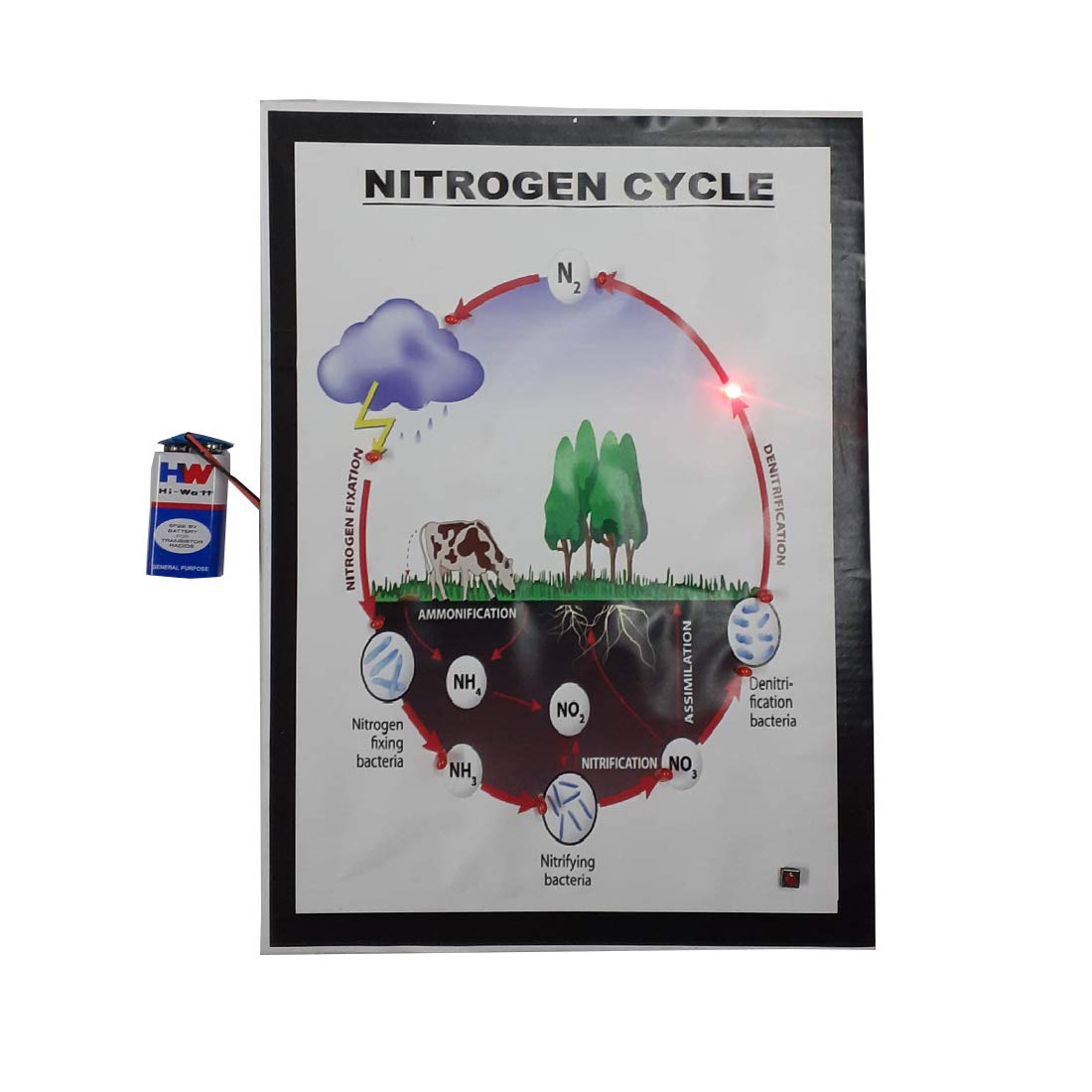 Buy MELODY's Nitrogen Cycle - Science Working Model Using Running LED ...