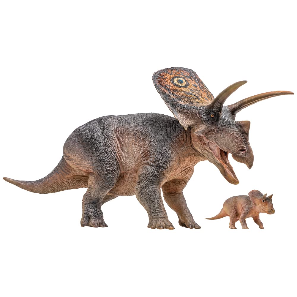 Torosaurus Triceratops Comparison