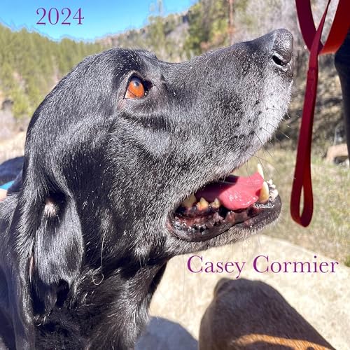 Amazon.co.jp: 2024 : Casey Cormier: デジタルミュージック