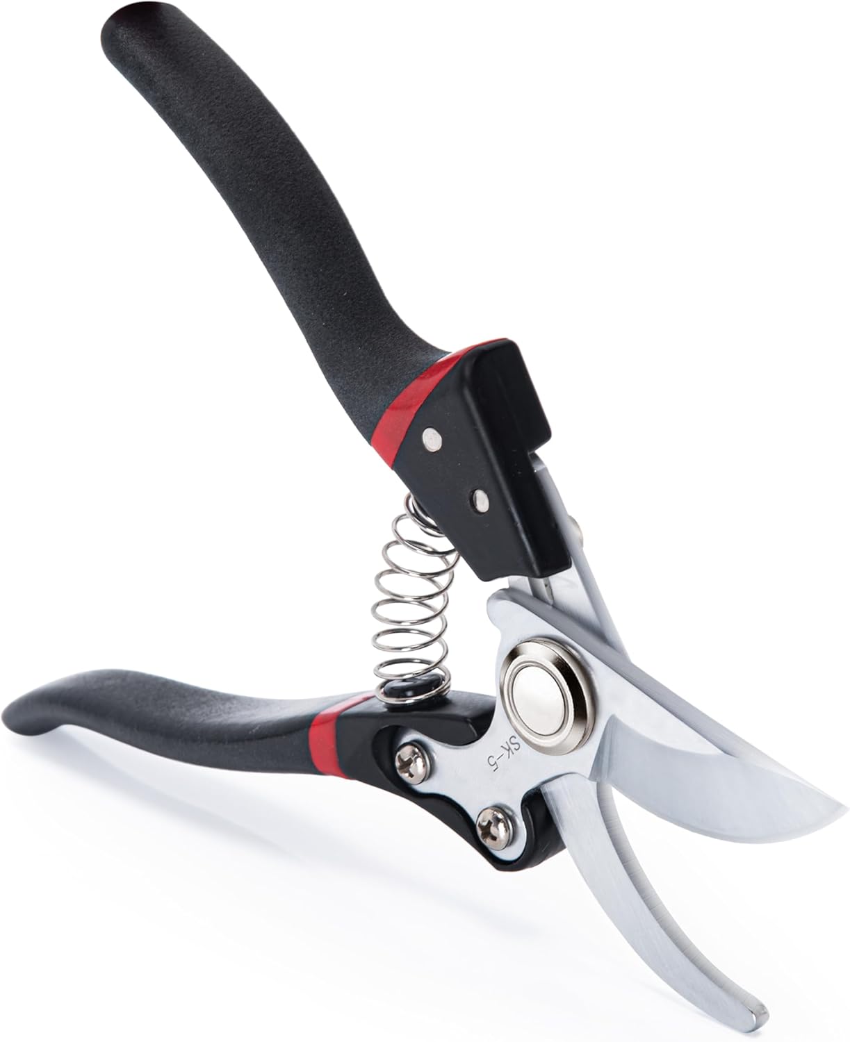 Amazon.com : Phoenix Vine 8" Pruning Scissor for Indoor Houseplants ...