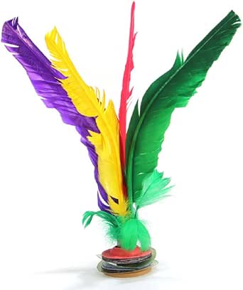 Amazon.com: Assorted Feather Chinese Traditional Jianzi Kick ...