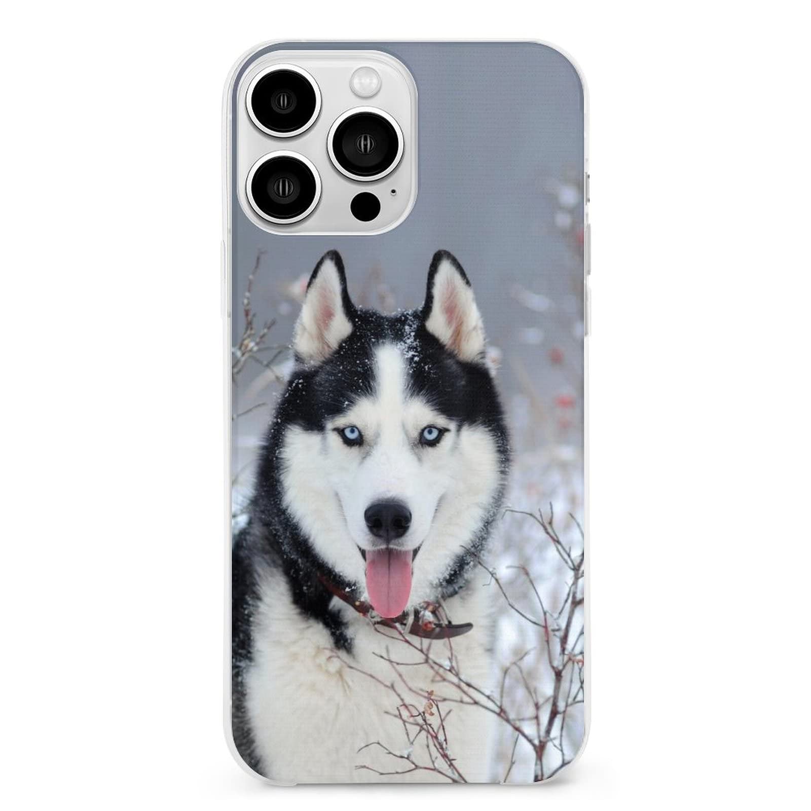 Are Husky Protective