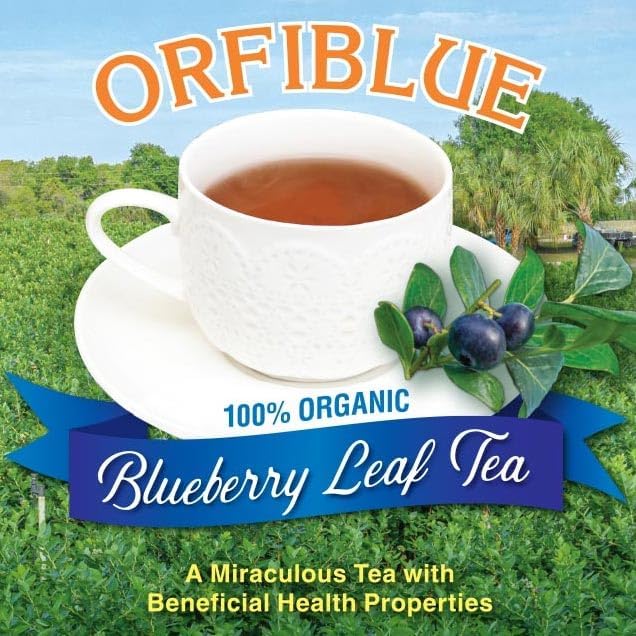 Amazon.com : 100% Organic Blueberry Leaf Tea : Grocery & Gourmet Food