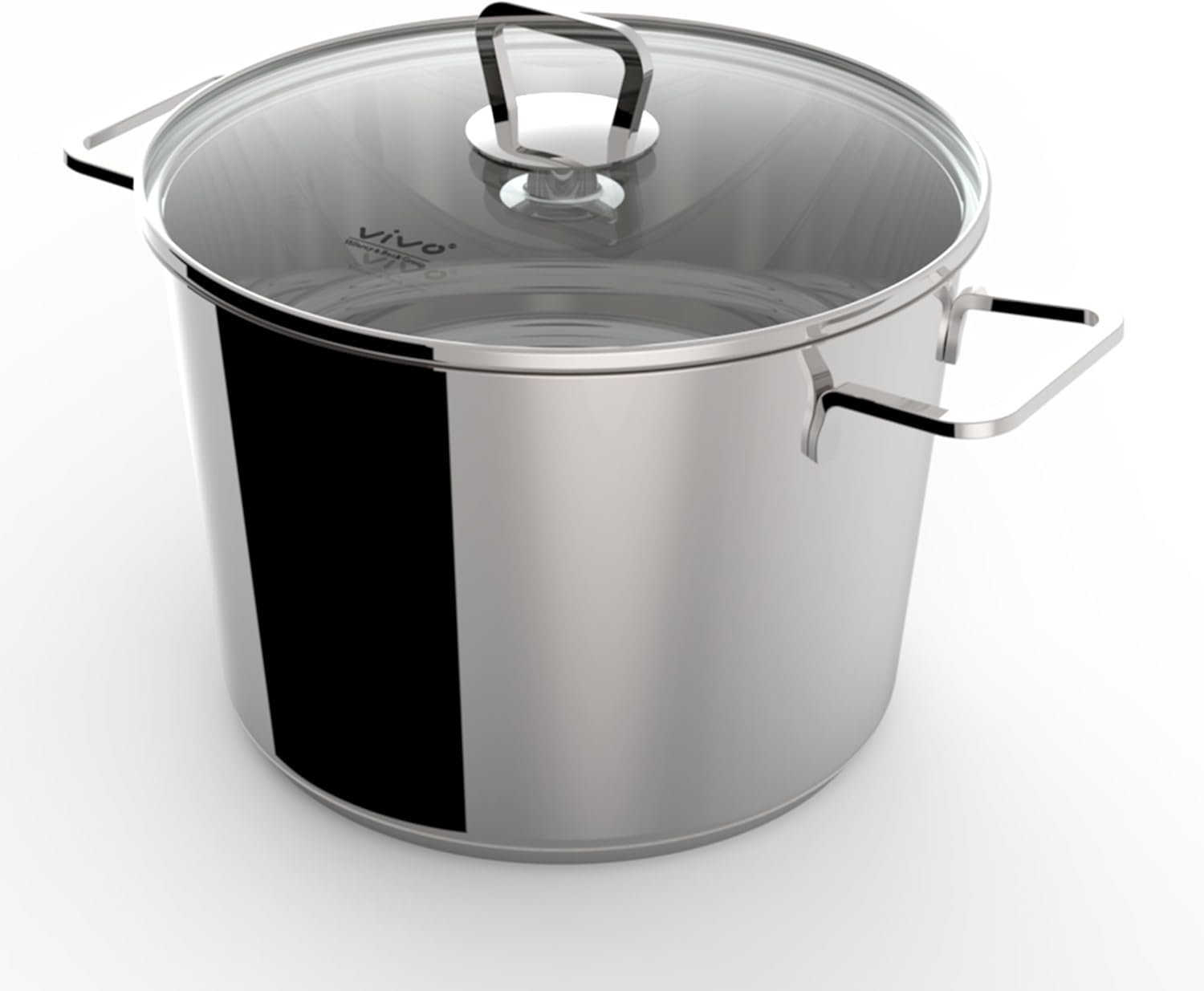 Vivo by Villeroy & Boch CW0528 Stainless Steel Cooking Pot - 24cm/3.2L ...