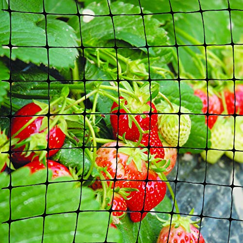 Snapklik.com : TENAX Ornex LM Bird Netting 14 X 500 Black