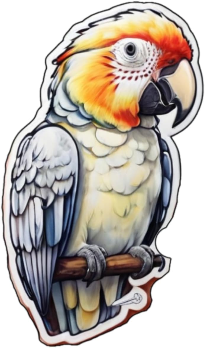 Amazon.com: 3pcs Cute Parrot Stickers for 3in Water Bottles, Waterproof ...