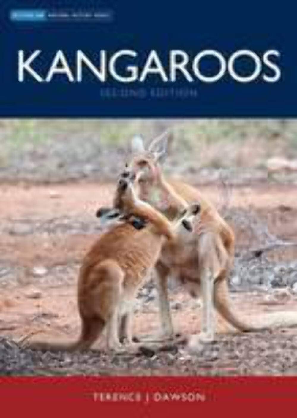 Kangaroos [OP] (Natural History): Dawson, Terence J.: 9780643106253 ...