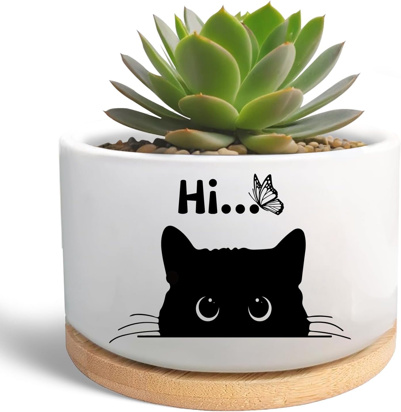 Amazon.com : WKHOKI Ceramic Cat Planter Pot with Drainage Hole ...