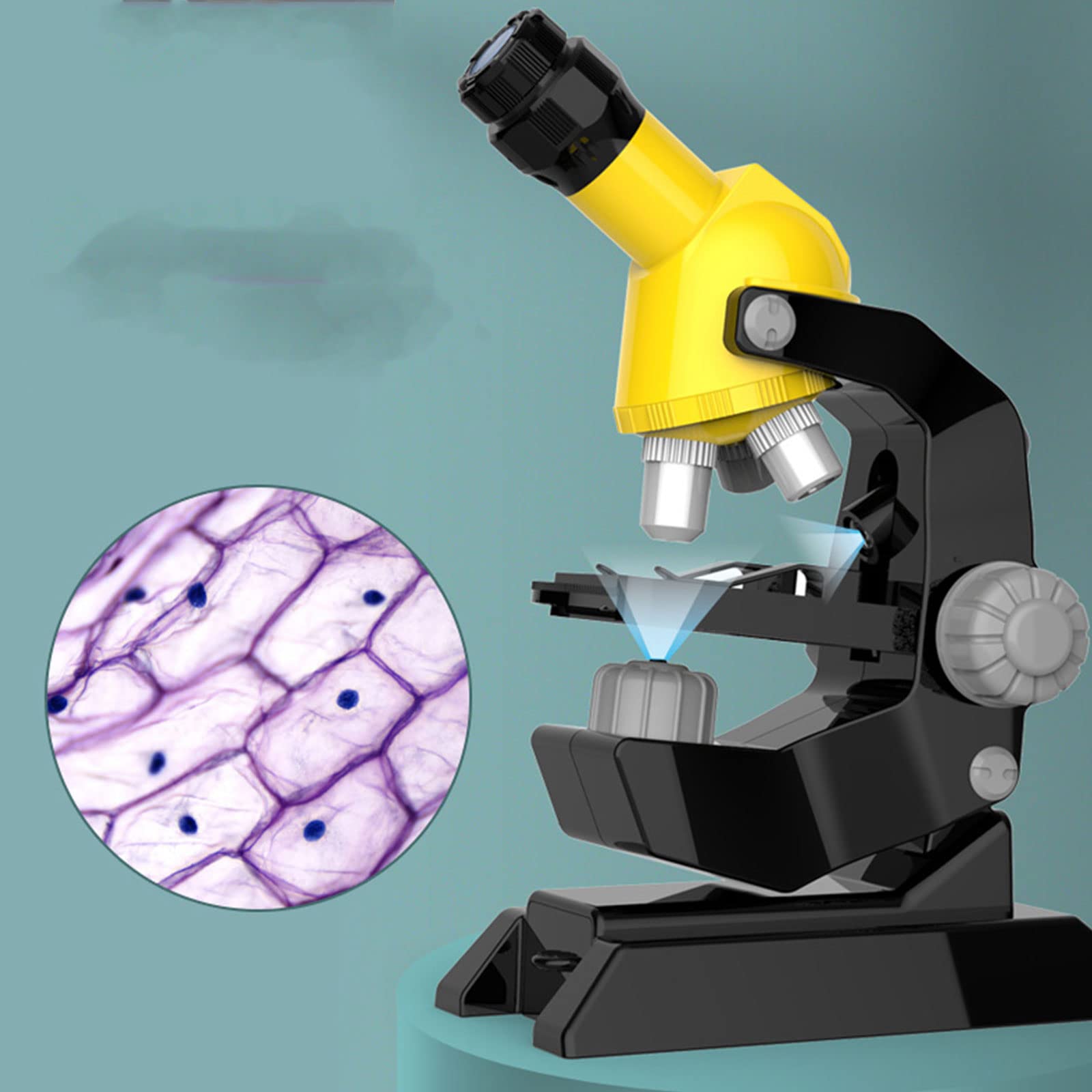 Buy Kids Micro Kit,100X 400X 1200X Magnification Student Micro ...