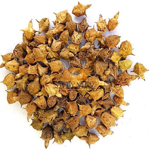 Buy SriSatymev ® Gokhru Bada, 100g Online at Low Prices in India ...