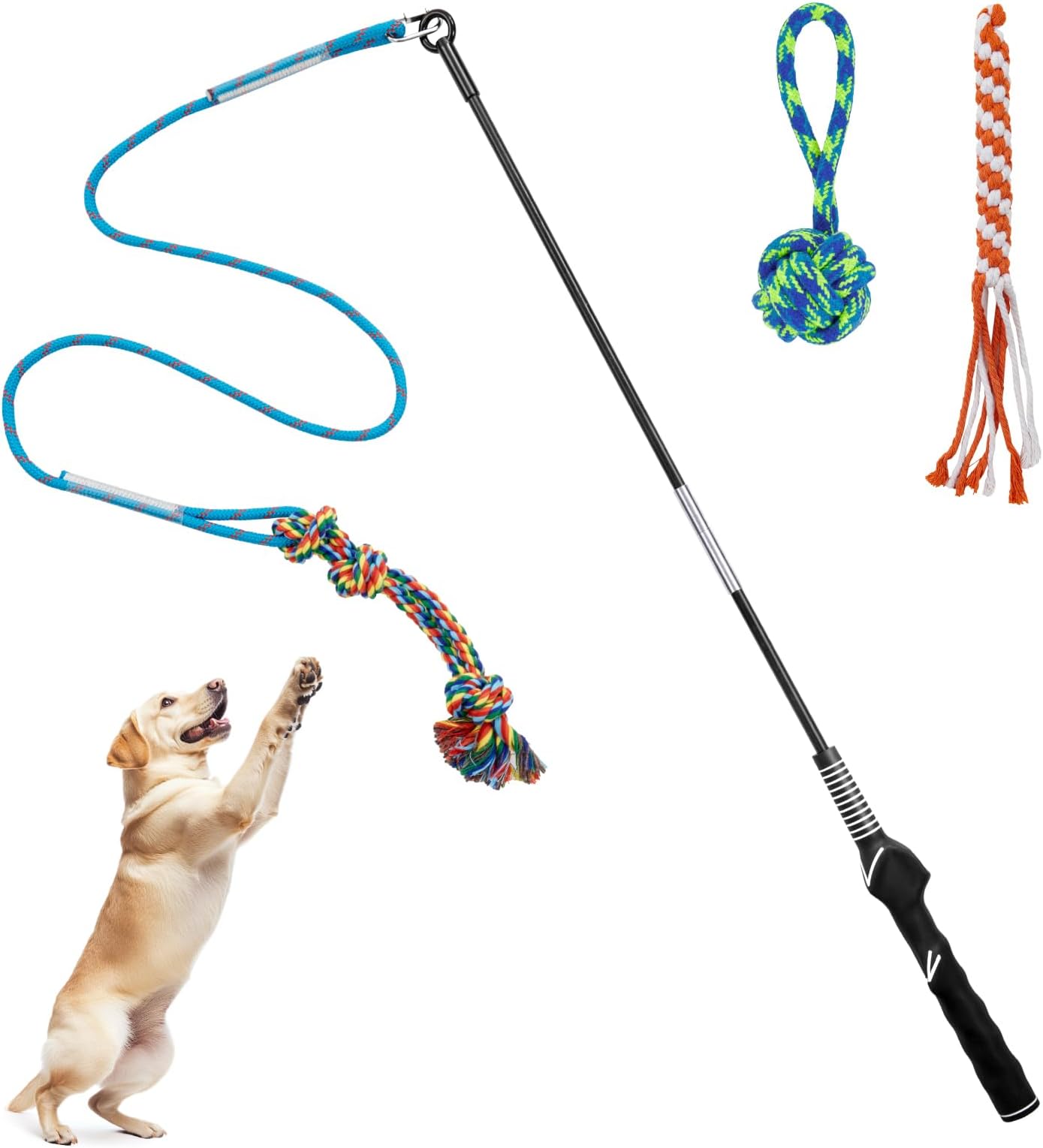Pet Supplies : LOOBANI Flirt Pole for Dogs Heavy Duty: Interactive Dog ...