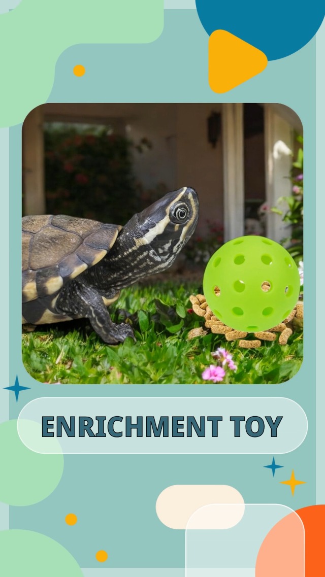 Mini Turtles FORZENA Turtle Skateboard Toys Fast Skate Accessory Funny ...