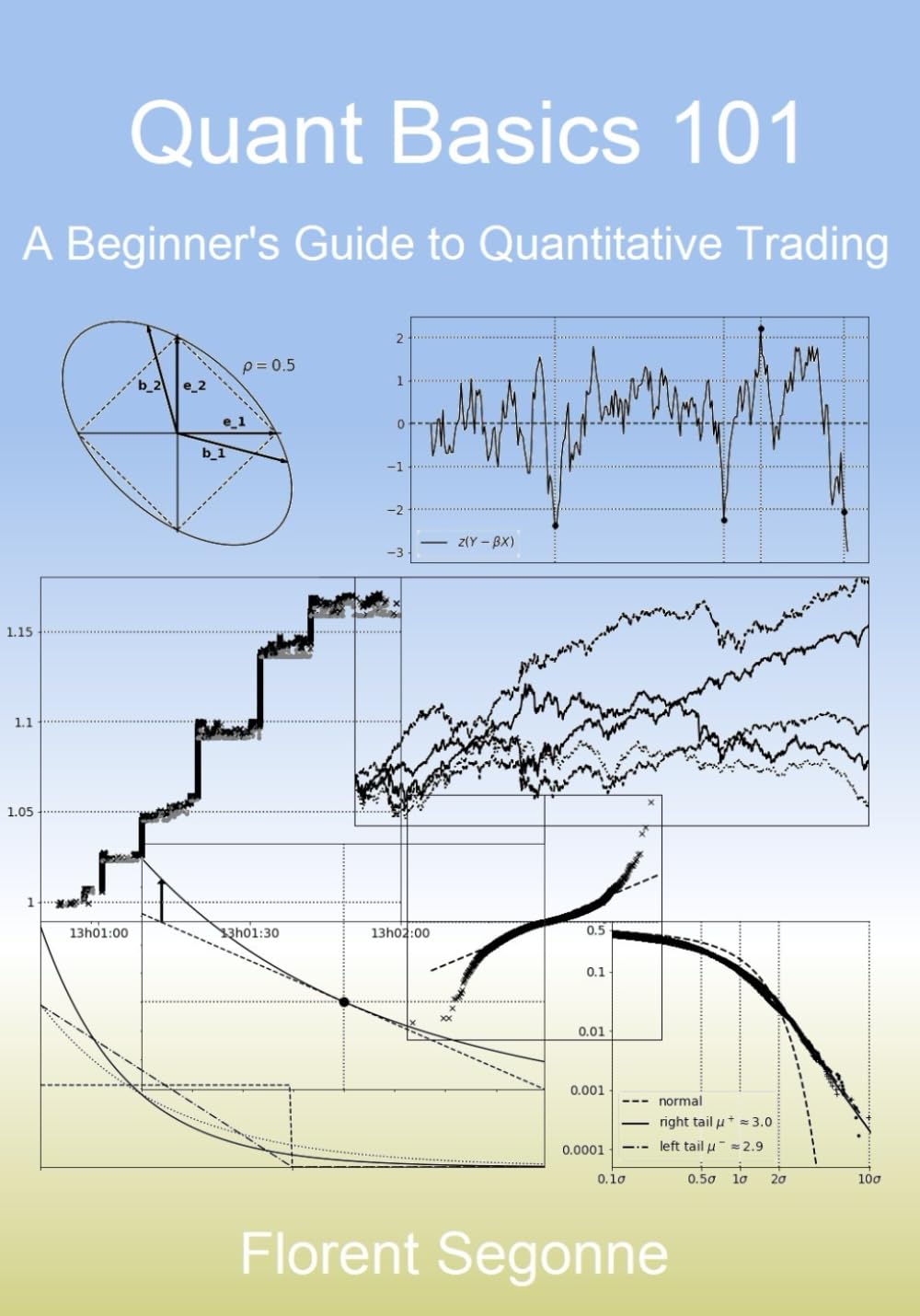 Quant Basics 101: A Beginner's Guide To Quantitative Trading : Segonne ...