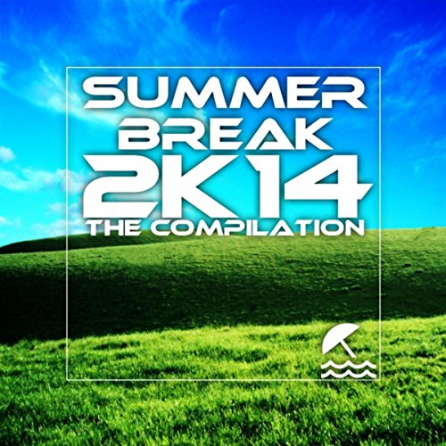 Amazon.com: Summer Break 2K14 : Various artists: Digital Music