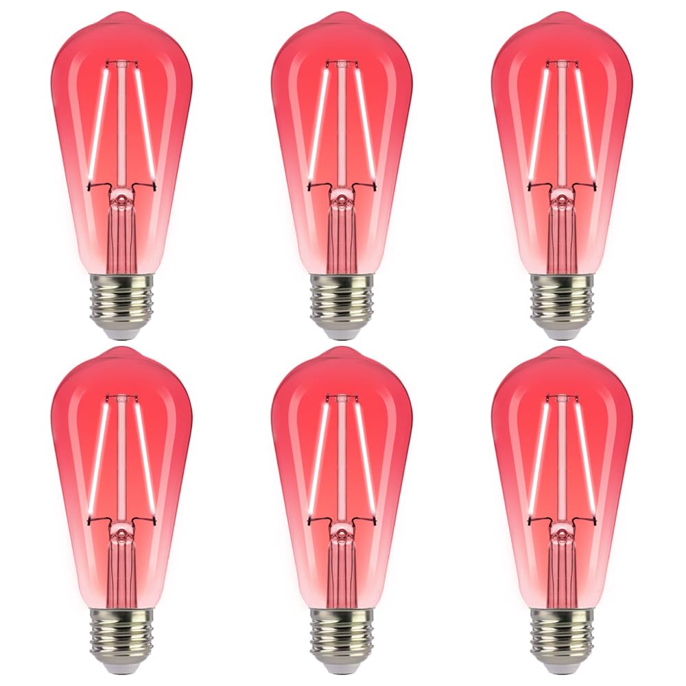 ALAMPEVER ST19/ST58 Vintage LED Edison Bulbs, Decorative LED String ...