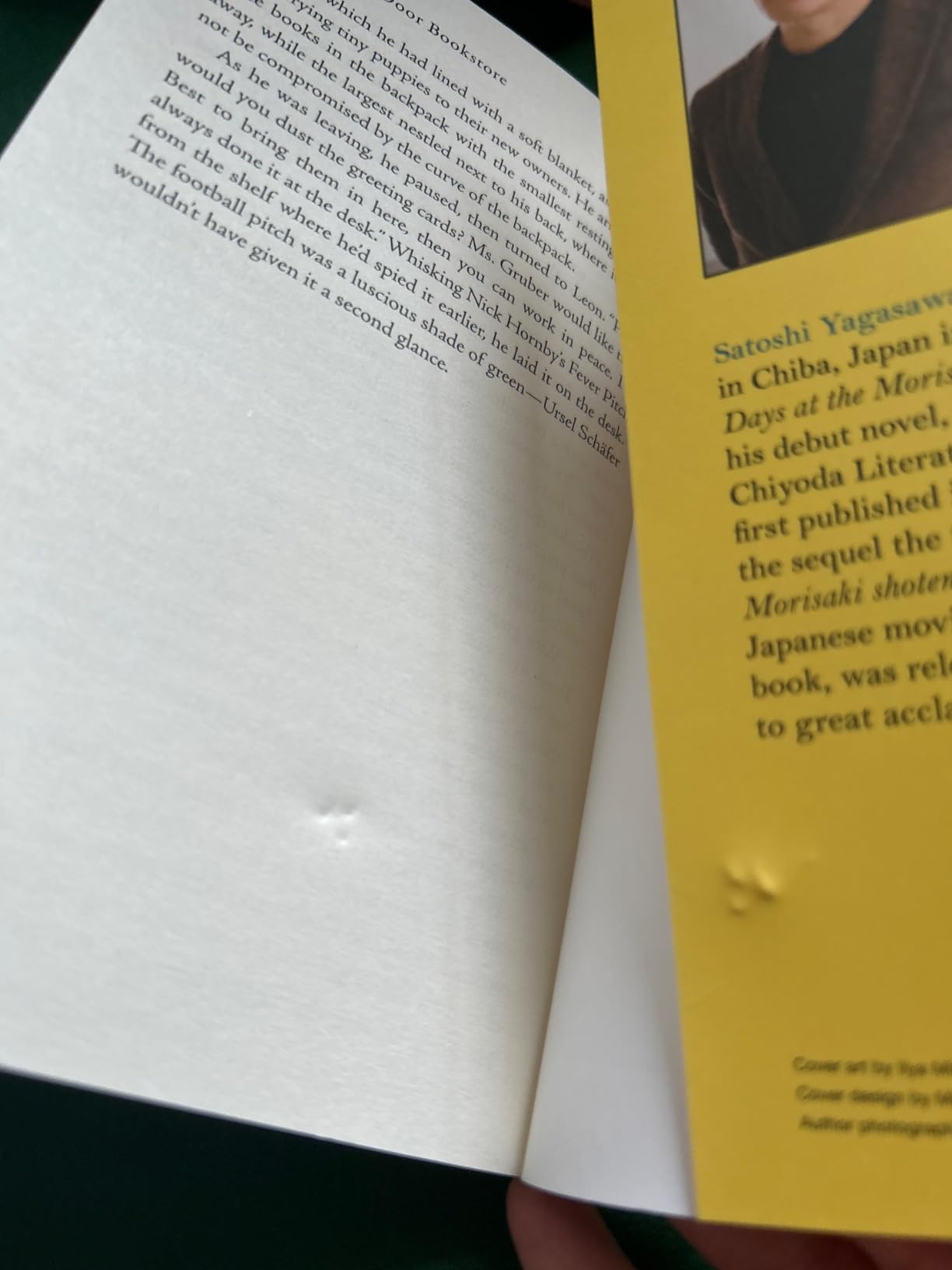 Days at the Morisaki Bookshop: The perfect book to curl up with - for ...