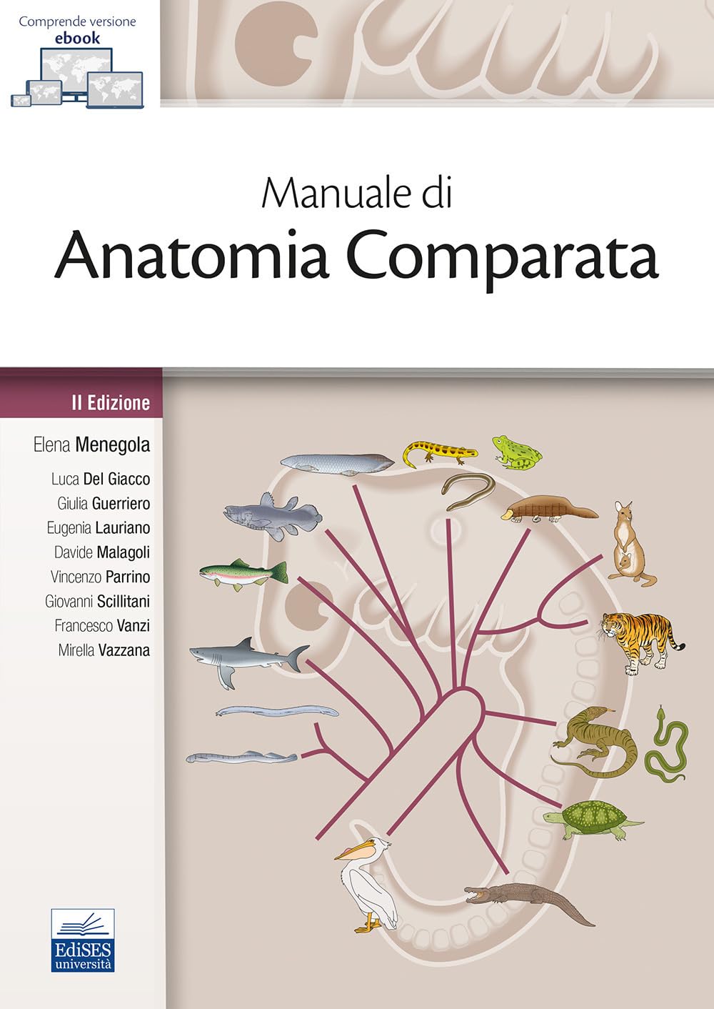 Manuale di Anatomia Comparata : Elena Menegola: Amazon.it: Libri