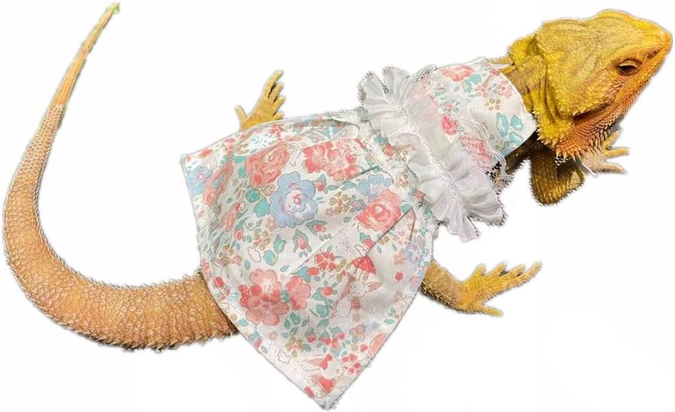 Amazon.com : Lizard Dress for Bearded Dragon - Handmade Cotton Tutu ...