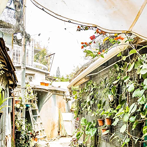 Amazon.co.jp: Clear, Bright, Dark of Night, Vol. 2 : Adam Bosarge: デジタル ...