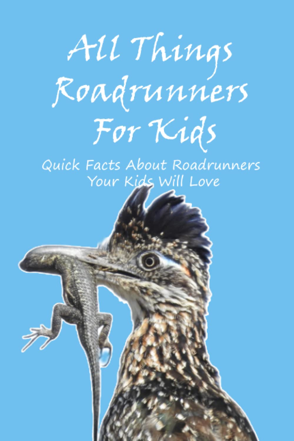 All Things Roadrunners For Kids: Quick Facts About Roadrunners Your ...