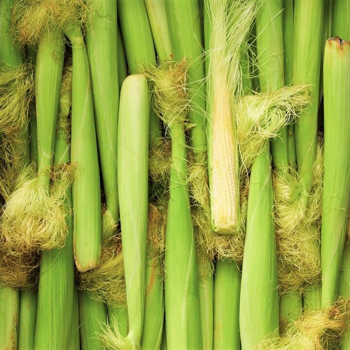 Amazon.com : Japanese Baby Corn Seeds for Planting - 20 Seeds - Great ...