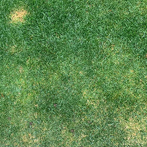 Amazon.co.jp: Grass : Charlie Howell: デジタルミュージック