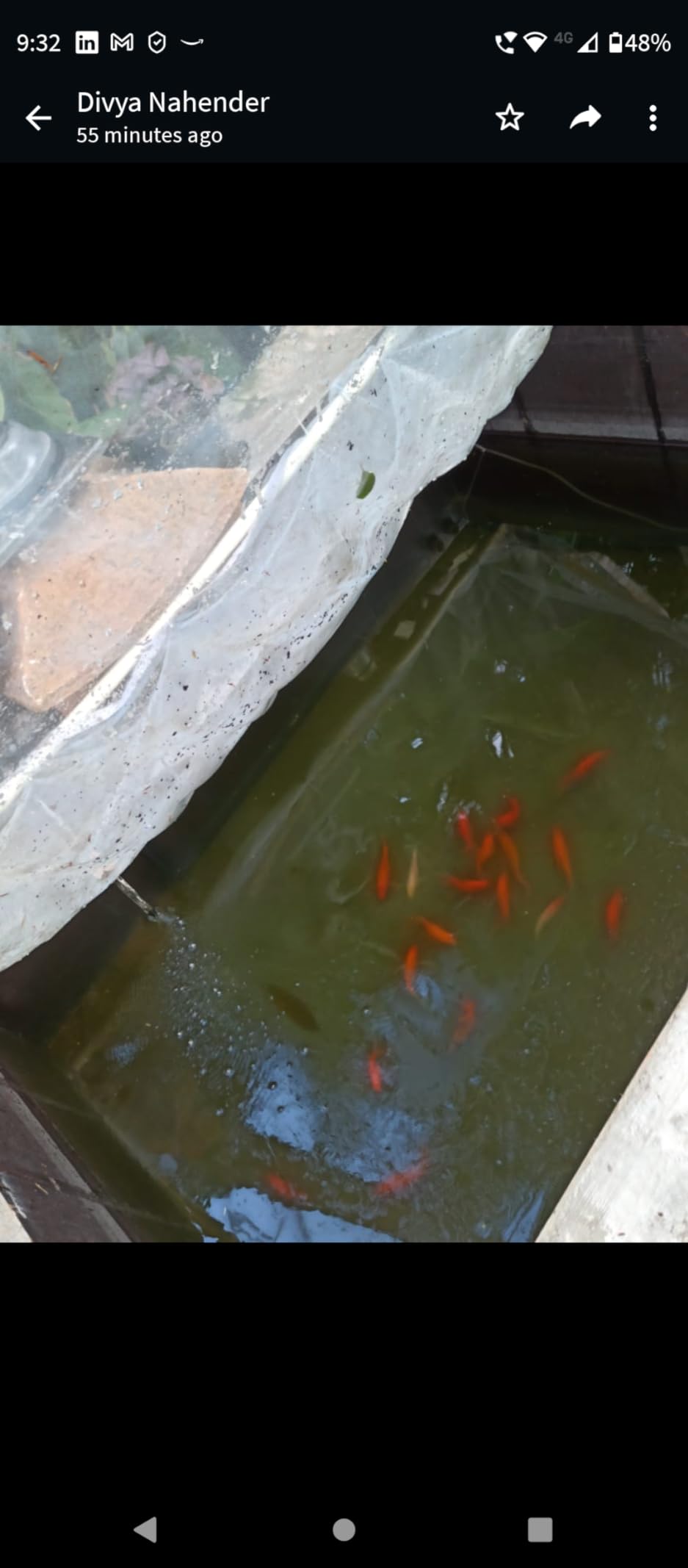 Bio Pro ALGANIL Pond 500ml is an Effective Nano Technology Based Algae ...