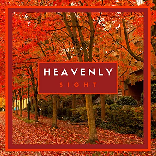Amazon.com: Heavenly Sight : VARIOUS ARTISTS: Digital Music