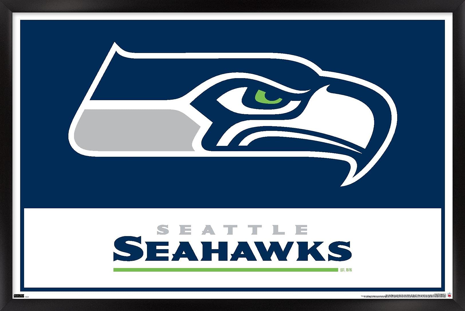 Seahawks Logo Glass