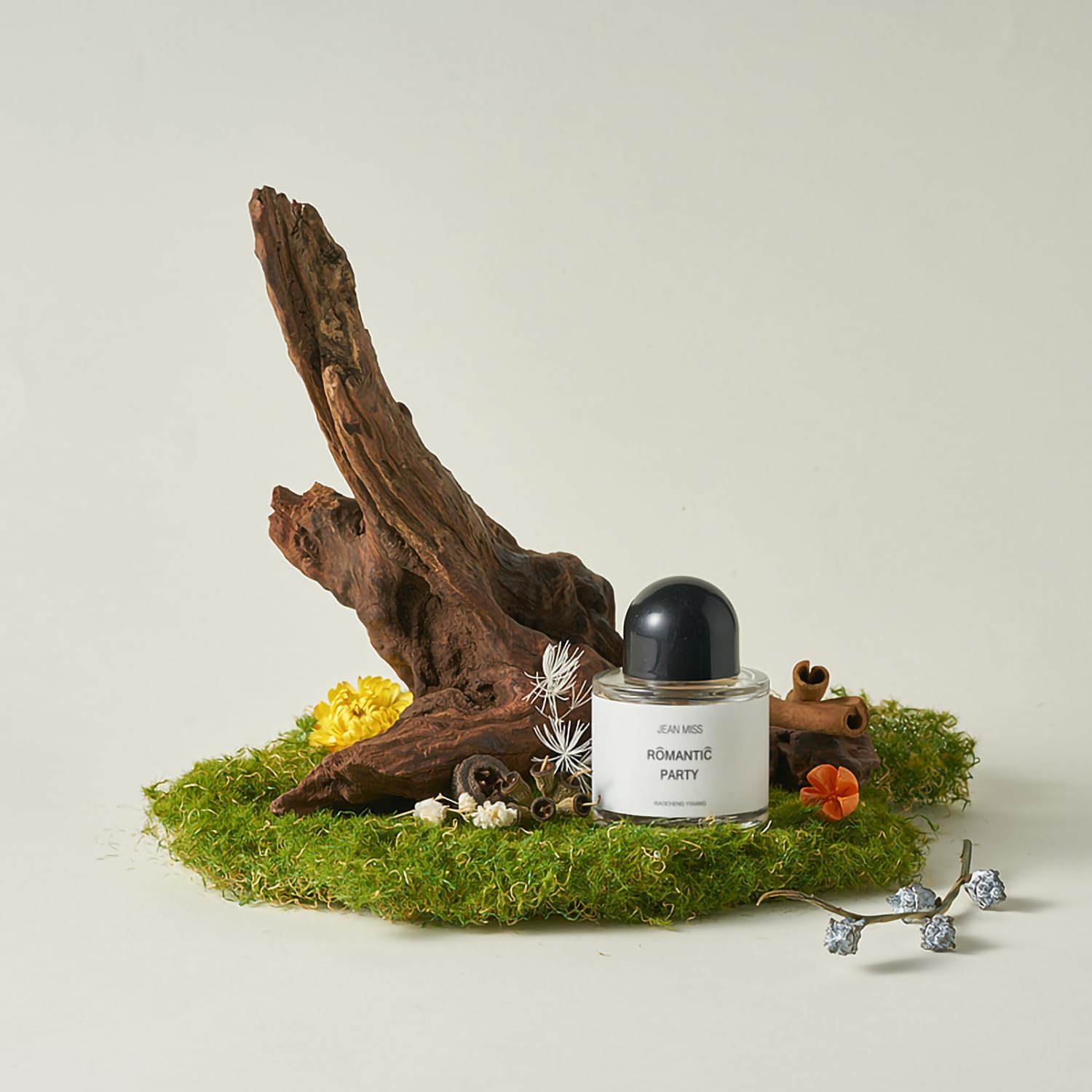 Amazon.com : 16PCS Original Design Natural Forest Wood Product Photography Background Prop Set ...