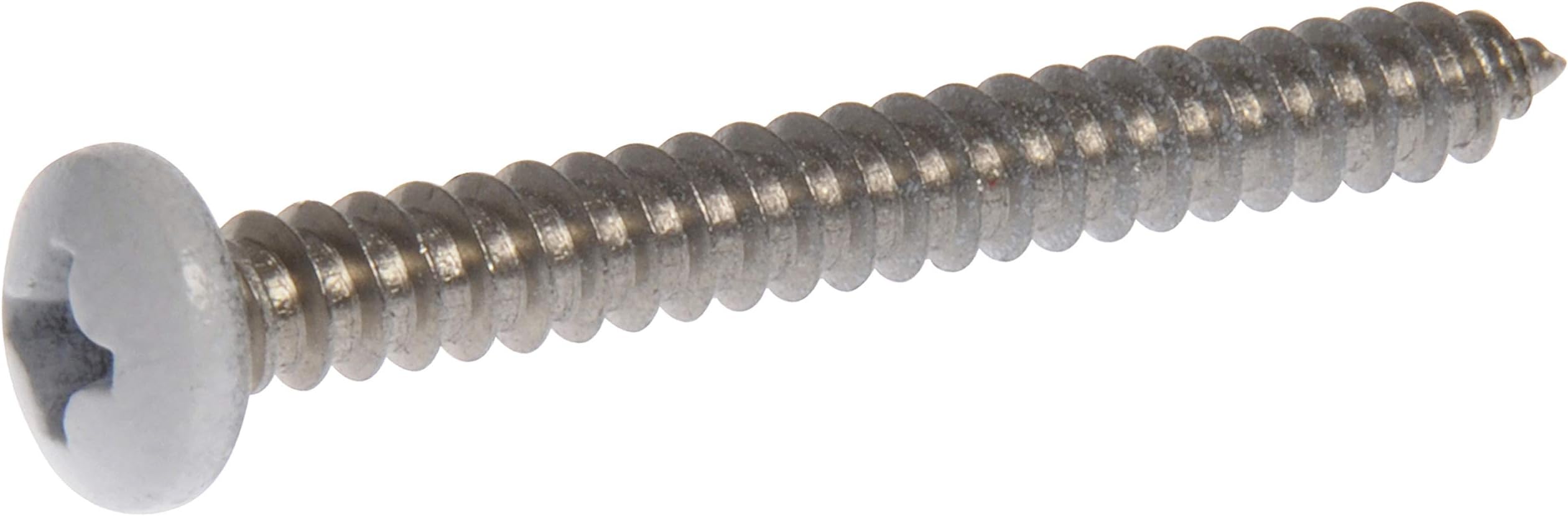 Amazon.com: Hillman 44446 8 x 2-1/2-Inch White Pan Head Phillips Sheet ...