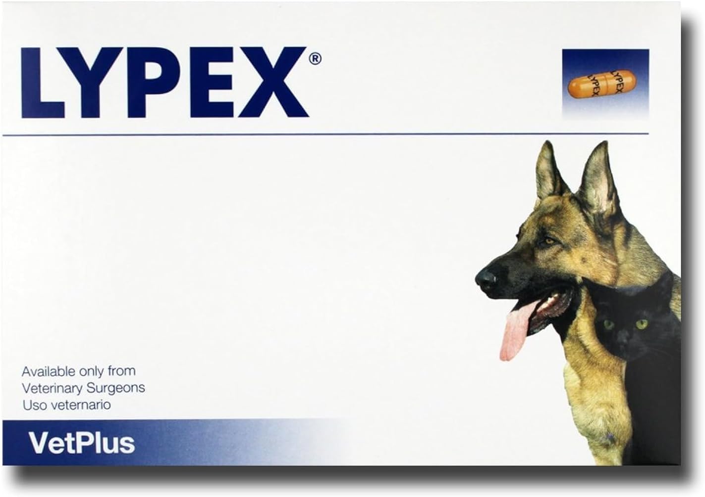 Lypex Capsules x 1 : Amazon.co.uk: Pet Supplies