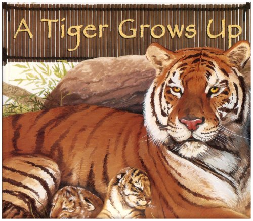A Tiger Grows Up (Wild Animals) : Suen, Anastasia: Amazon.co.uk: Books