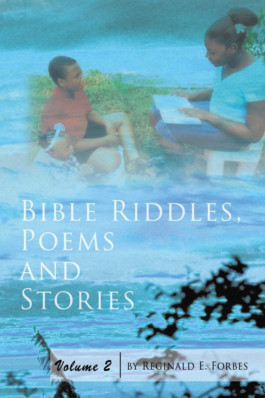 Bible Riddles, Poems and Stories: Volume 2: Forbes, Reginald E ...