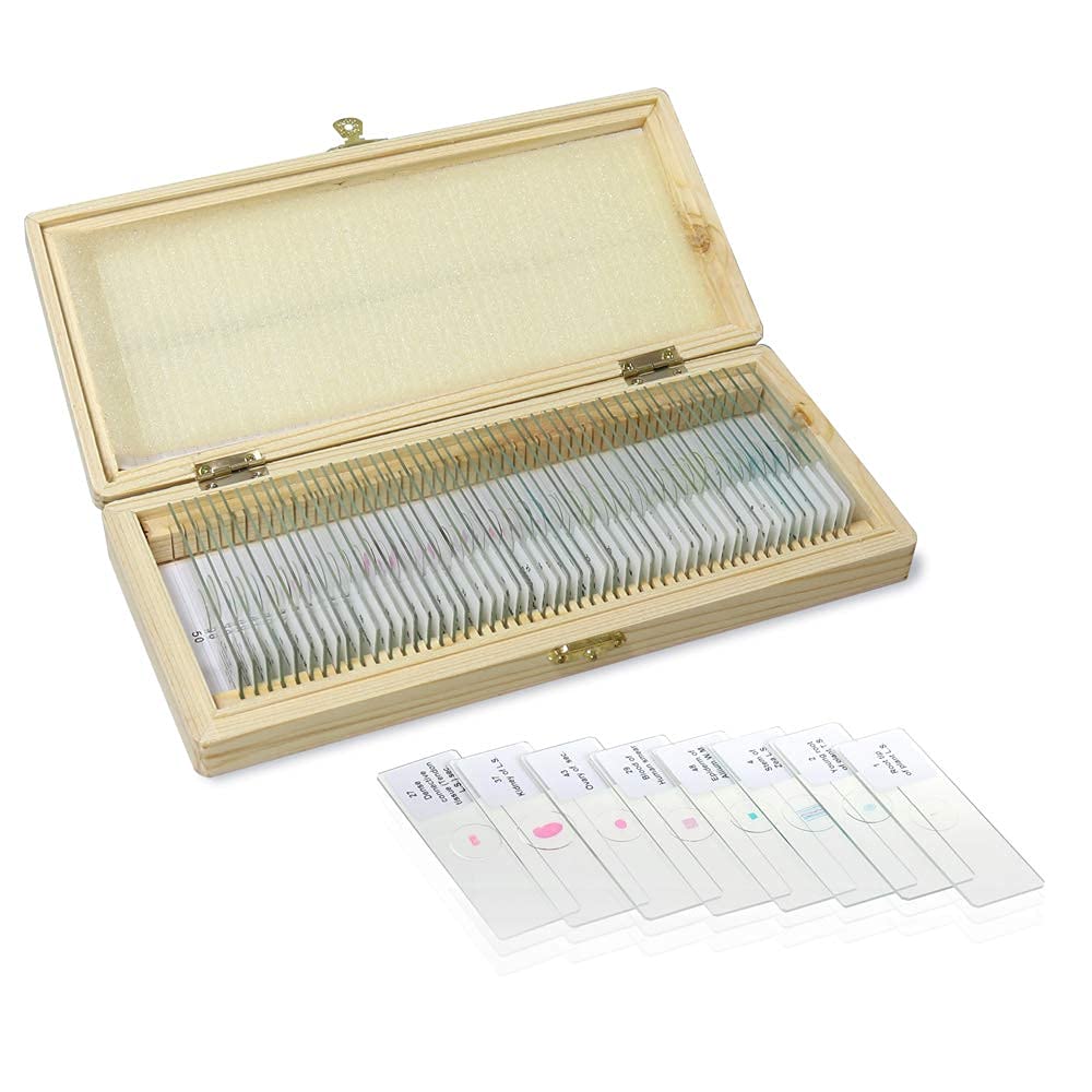 Labvida 50PCS Prepared Microscope Slides, Microbiology Specimen Slides ...