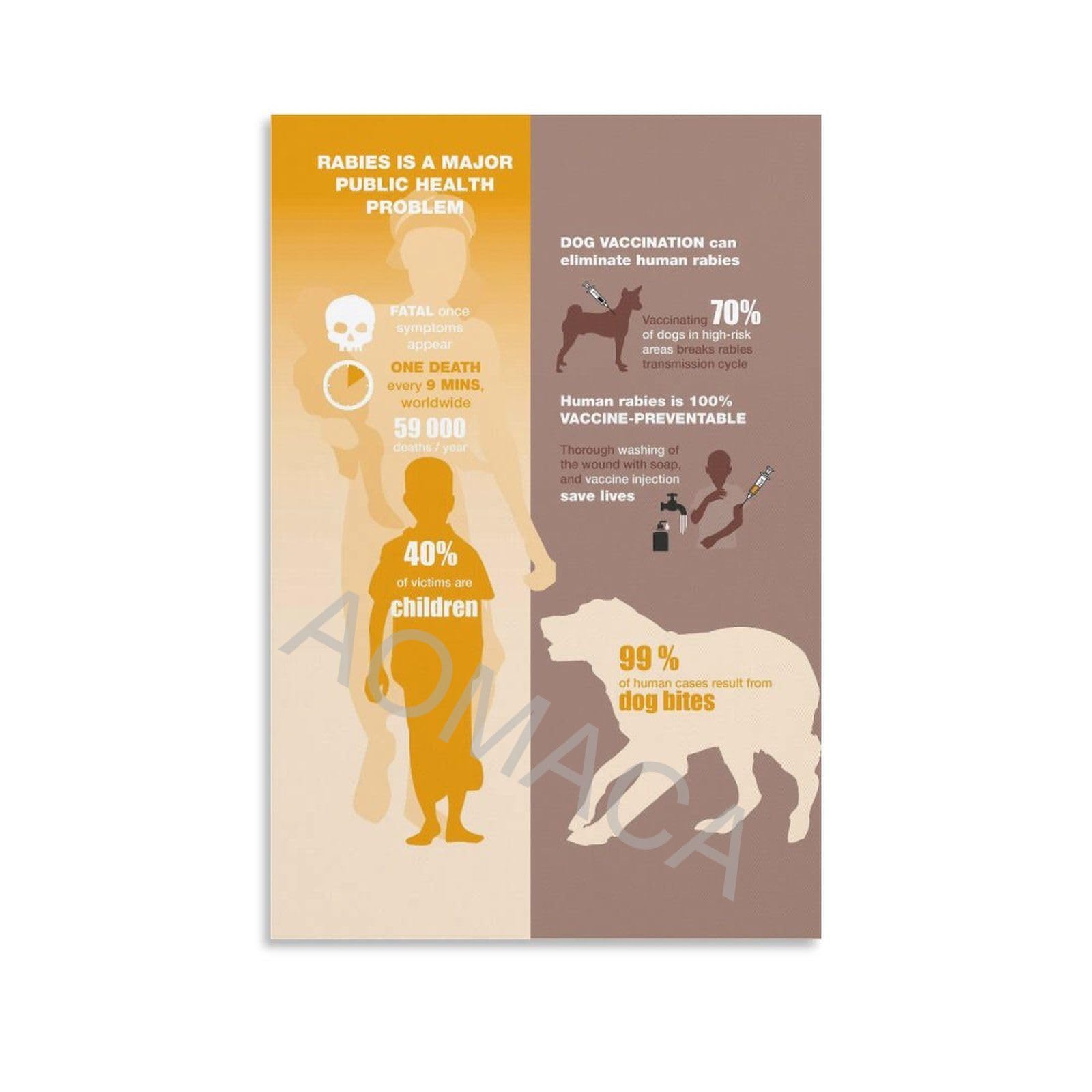 Rabies Transmission Cycle