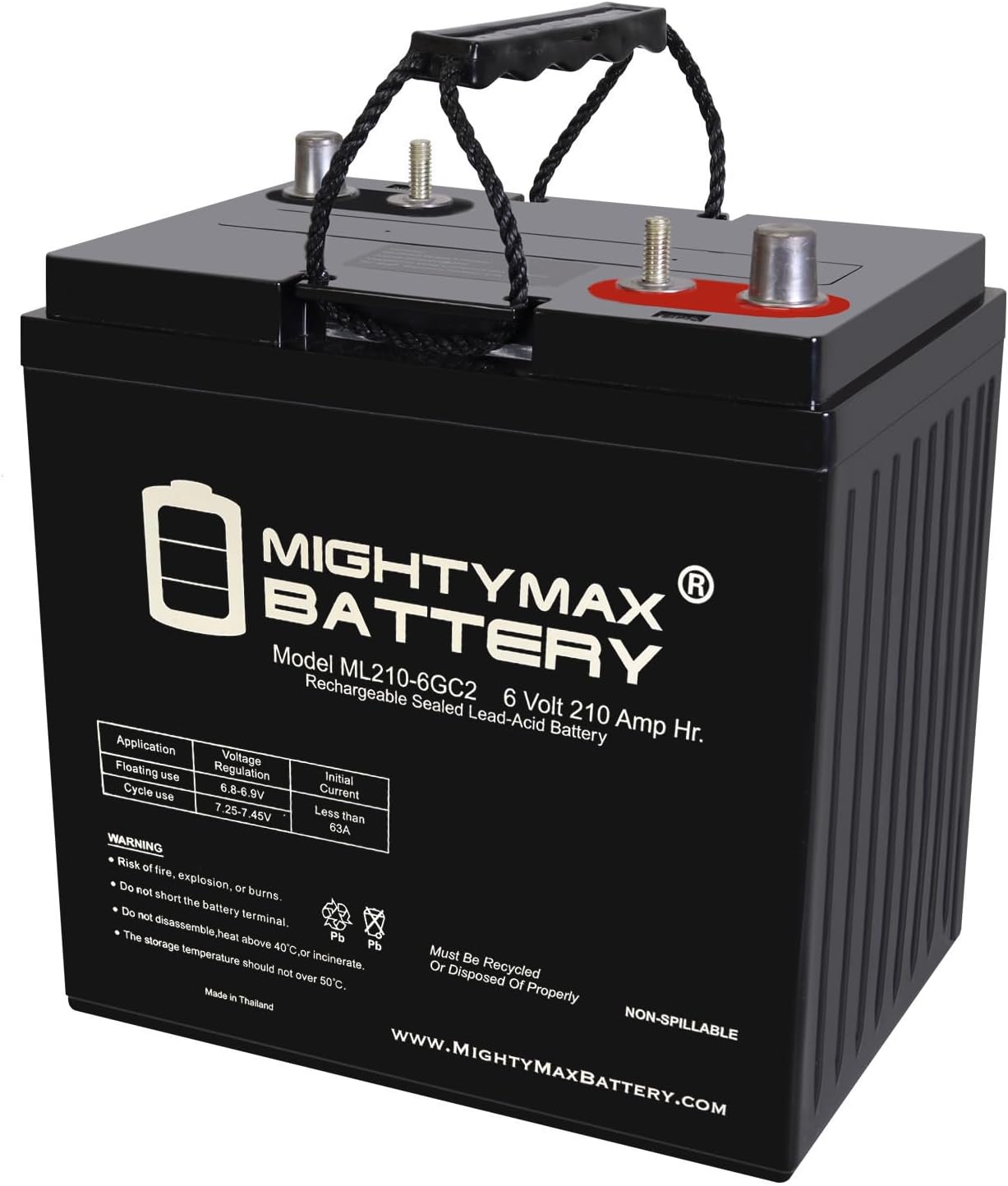 Amazon.com: Mighty Max Battery Mighty Max Battery ML210-6GC2-6 Volt 210 ...