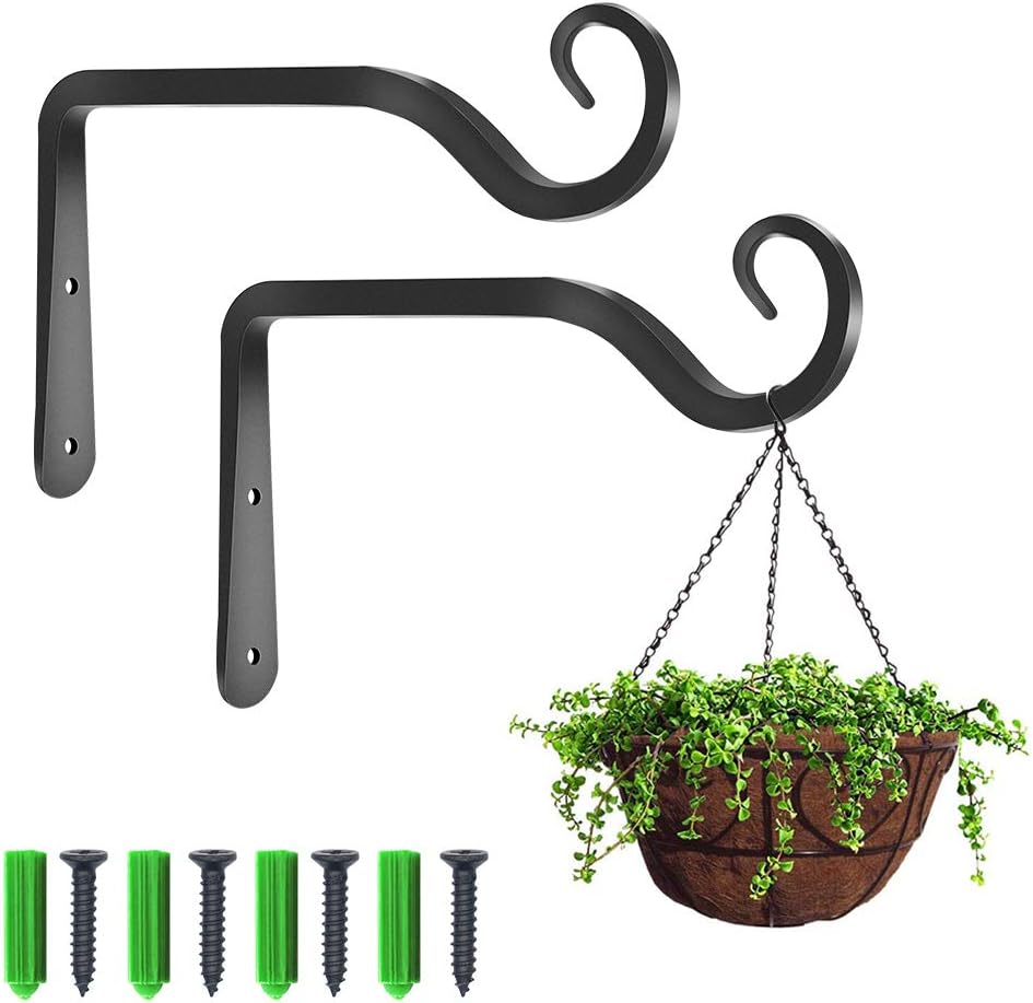 Amazon.com : Wall Hook Hanging Plant Bracket, 6-Inch Wall Mounted ...