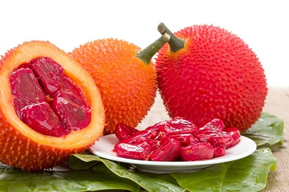 Buy 10 Thai Gac Fruit, Gac Melon Vine, Momordica Cochinchinensis ...