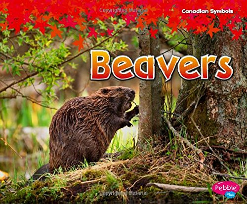Amazon | Beavers (Canadian Symbols) | Crewe, Sabrina | Mammals