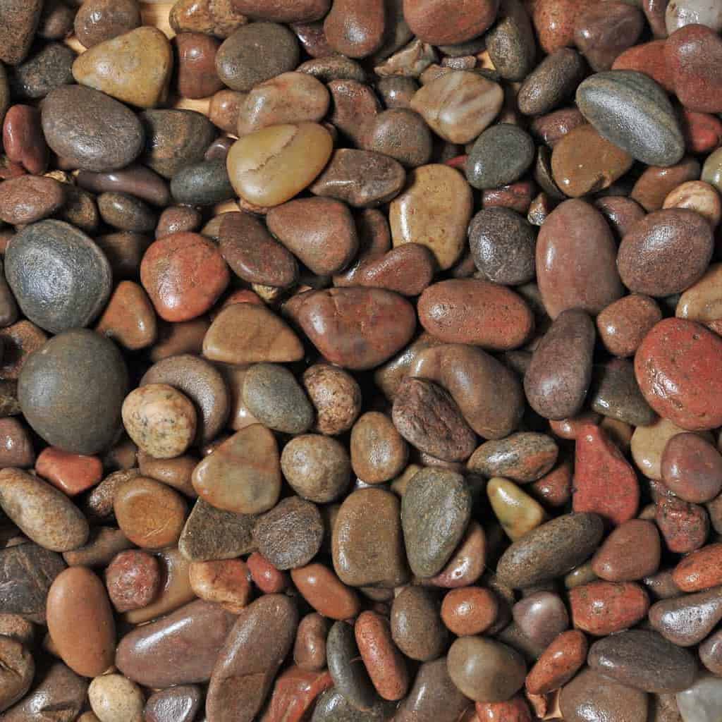 Elixir Gardens Decorative Coloured Scottish Pebbles Cobbles Stones ...